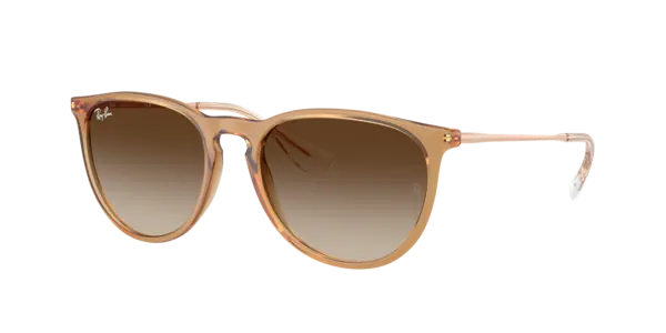 Ray-ban Erika Classic Sunglasses - Gradient Brown