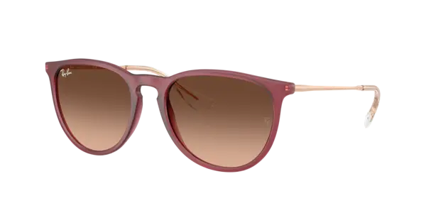 Ray-ban Erika Classic Sunglasses - Pink Gradient Brown