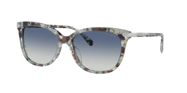 COACH Sunglasses Cl926 - Blue Gradient