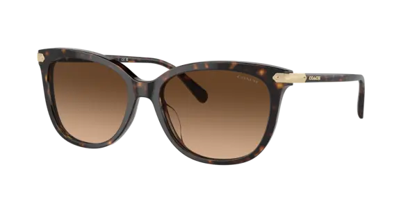 COACH Sunglasses Cl926 - Brown Gradient