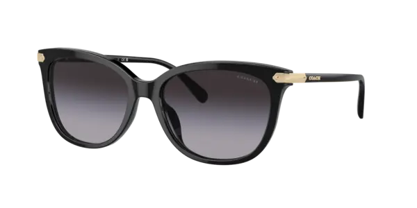 COACH Sunglass Cl926 - Grey Gradient