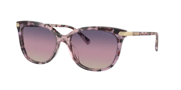 COACH Full Rim Sunglasses - Purple Gradient