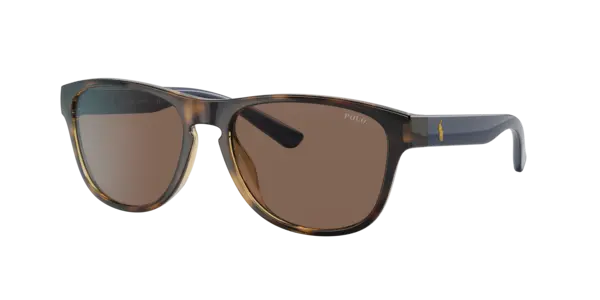 Polo Ralph Lauren Sunglasses - Brown