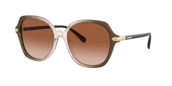 COACH Sunglasses With Lens - Brown Gradient