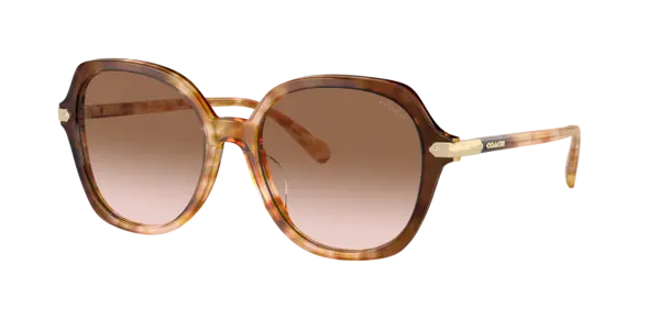 COACH Sunglasses - Brown Pink Gradient