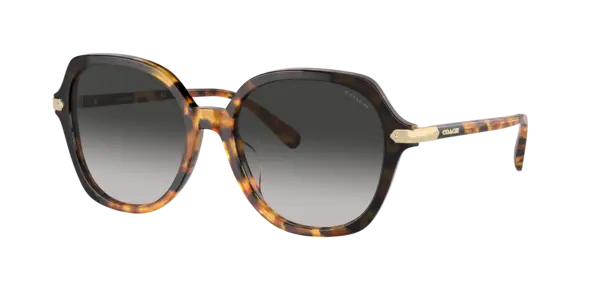 COACH Sunglasses - Grey Gradient