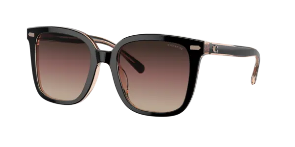 COACH Sunglasses - Violet