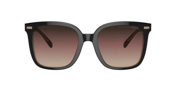 COACH Sunglasses - Violet