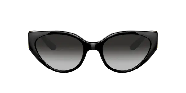Dolce & Gabbana Full Rim Sunglasses