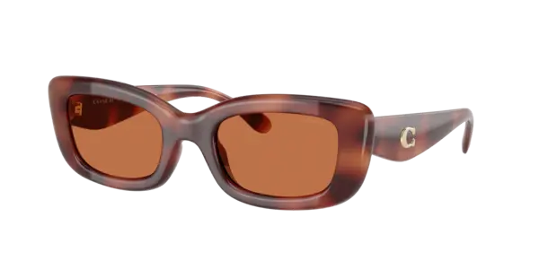 COACH Full Rim Sunglasses - Brown Solid