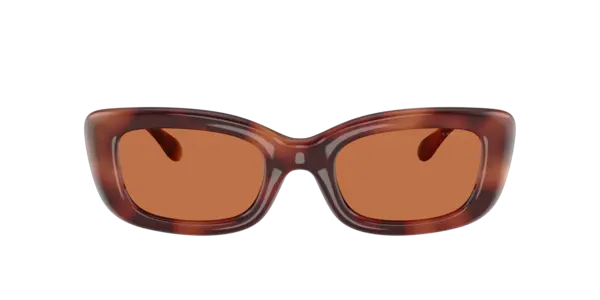 COACH Full Rim Sunglasses - Brown Solid