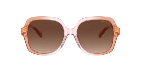 COACH Sunglasses - Brown Gradient Polarized