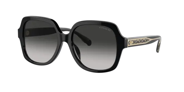 COACH Sunglasses - Grey Gradient