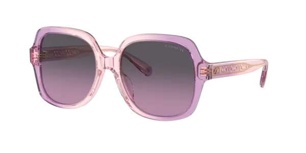 COACH Sunglasses - Purple Gradient