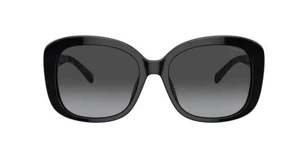 COACH Hc8363u Sunglasses