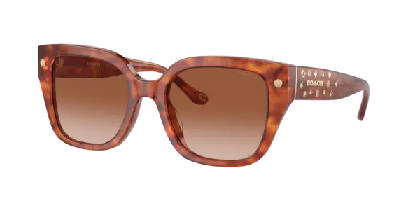 COACH Cat Eye Sunglasses - Brown Gradient