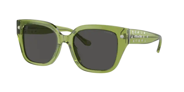 COACH Tortoiseshell D-frame Sunglasses - Grey Solid