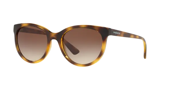 SUNGLASS HUT Hu2011 Sunglasses By - Brown Gradient