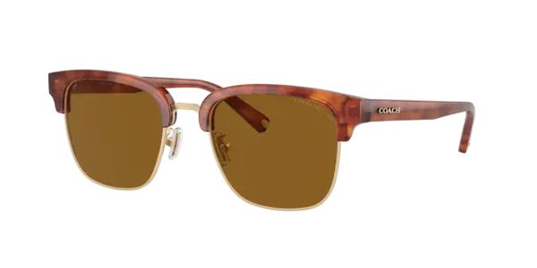 COACH Hc8326 Sunglasses - Brown Solid Polarized
