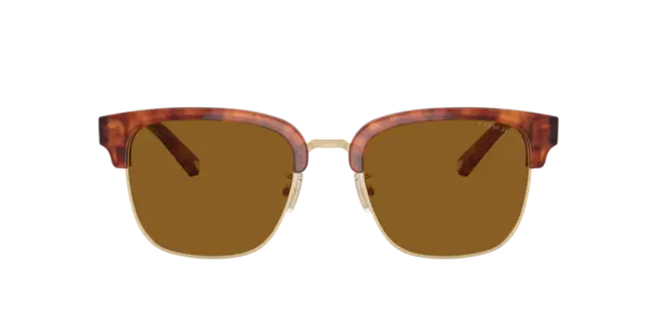 COACH Hc8326 Sunglasses - Brown Solid Polarized