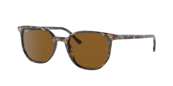 Ray-ban Elliot Sunglasses - Brown Polarized