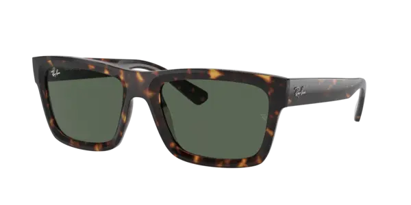 Ray-ban Warren Bio-based Sunglass - Dark Grey