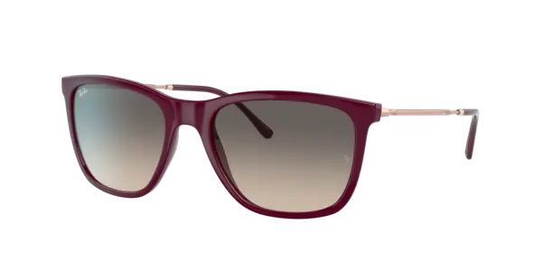 Ray-ban Sunglasses