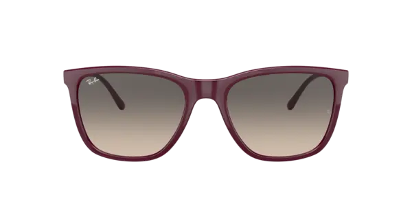 Ray-ban Sunglasses