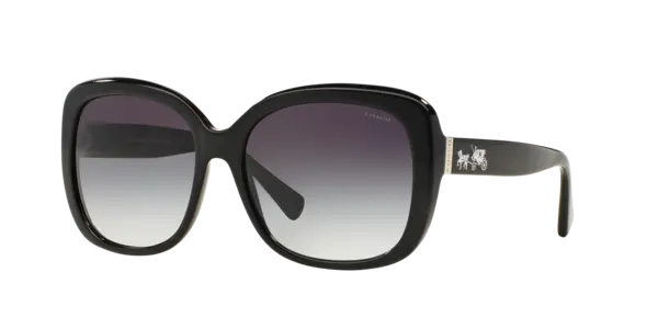 COACH Sunglass L139