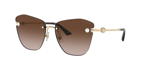 JIMMY CHOO Sunglasses - Gradient Brown