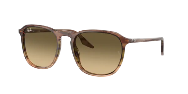 Ray-ban Sunglasses - Brown Black