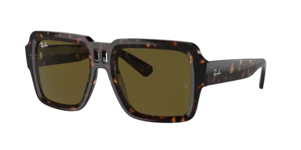 Ray-ban Magellan Sunglasses - Dark Brown