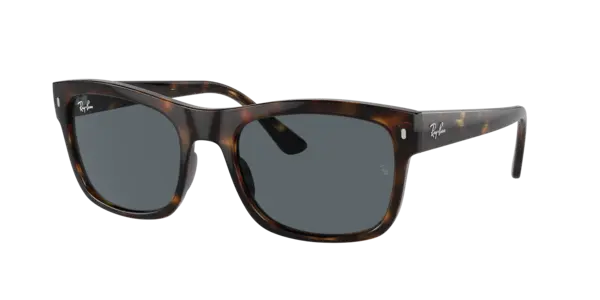 Ray-ban Wayfarer Sunglasses - Blue
