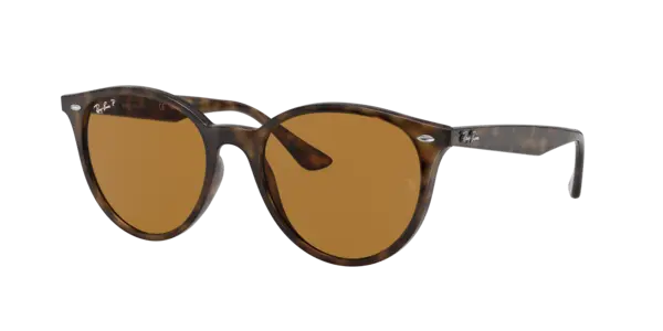 Ray-ban Rb4305 Sunglasses - B-15 Brown
