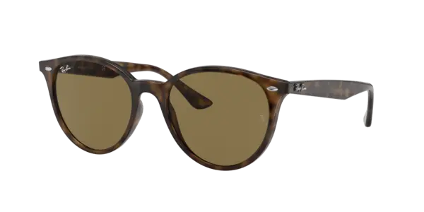Ray-ban Sunglasses - Dark Brown