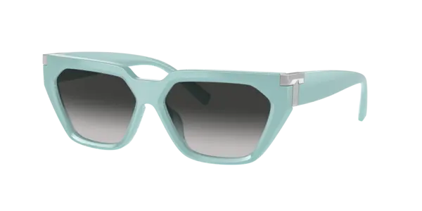 Tiffany & Co. Sunglasses - Grey Gradient