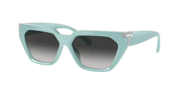 Tiffany & Co. Sunglasses - Grey Gradient
