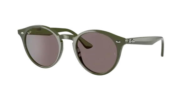 Ray-ban Round Frame Sunglasses - Violet