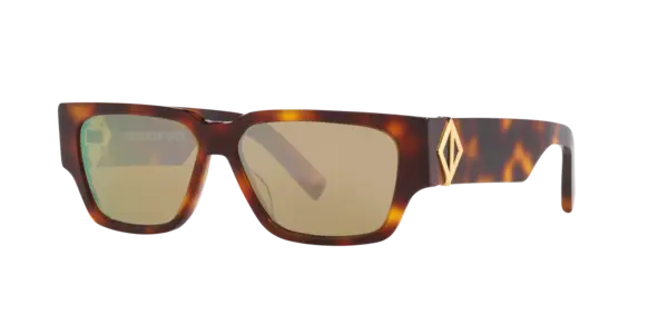 Dior Cd Diamond S5i Sunglasses - Brown