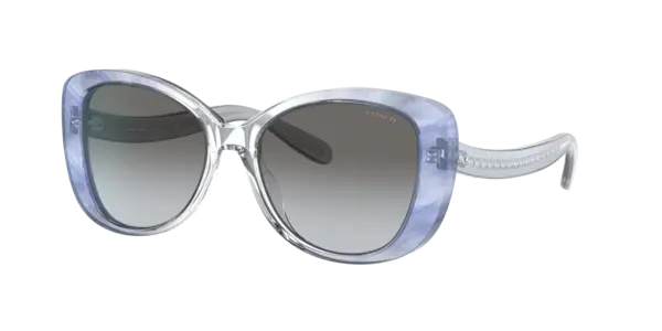 COACH Hc8322 Sunglasses