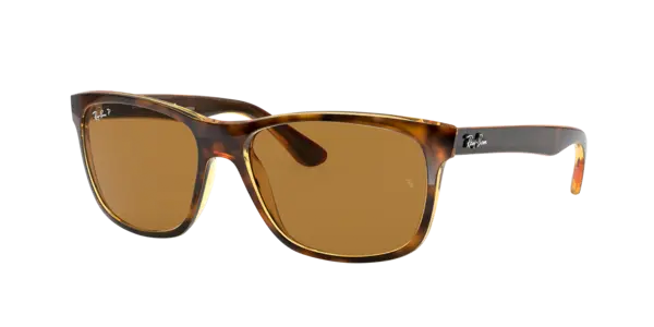 Ray-ban Rb4181 Sunglasses - B-15 Brown