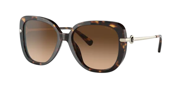 COACH Sunglasses - Dark Brown Gradient