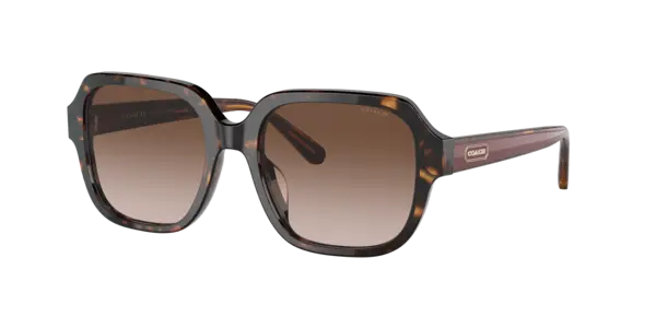 COACH Sunglasses - Brown Gradient