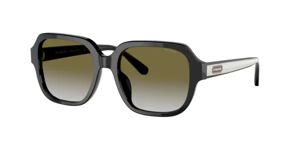 COACH Sunglasses - Olive Gradient