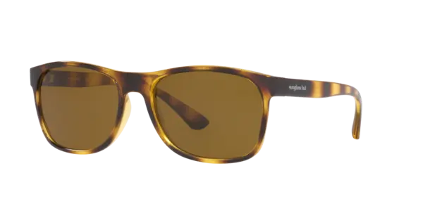 SUNGLASS HUT Sunglasses - Gradient Brown