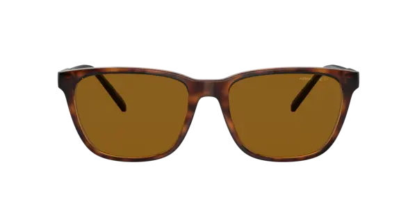 ARNETTE Cortex Sunglasses - Brown Polarized