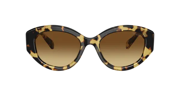 SWAROVSKI Sunglasses - Brown Gradient