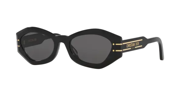 Dior Signature B1u Sunglasses - Grey