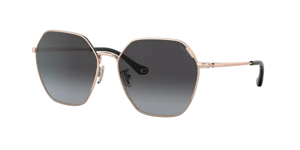 COACH Hexagonal Frame Sunglasses - Grey Gradient