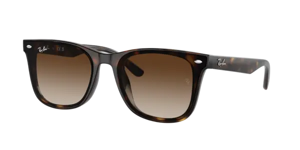 Ray-ban Sunglasses - Brown